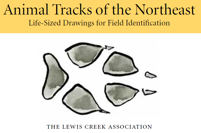 Animal Track Identification Cards