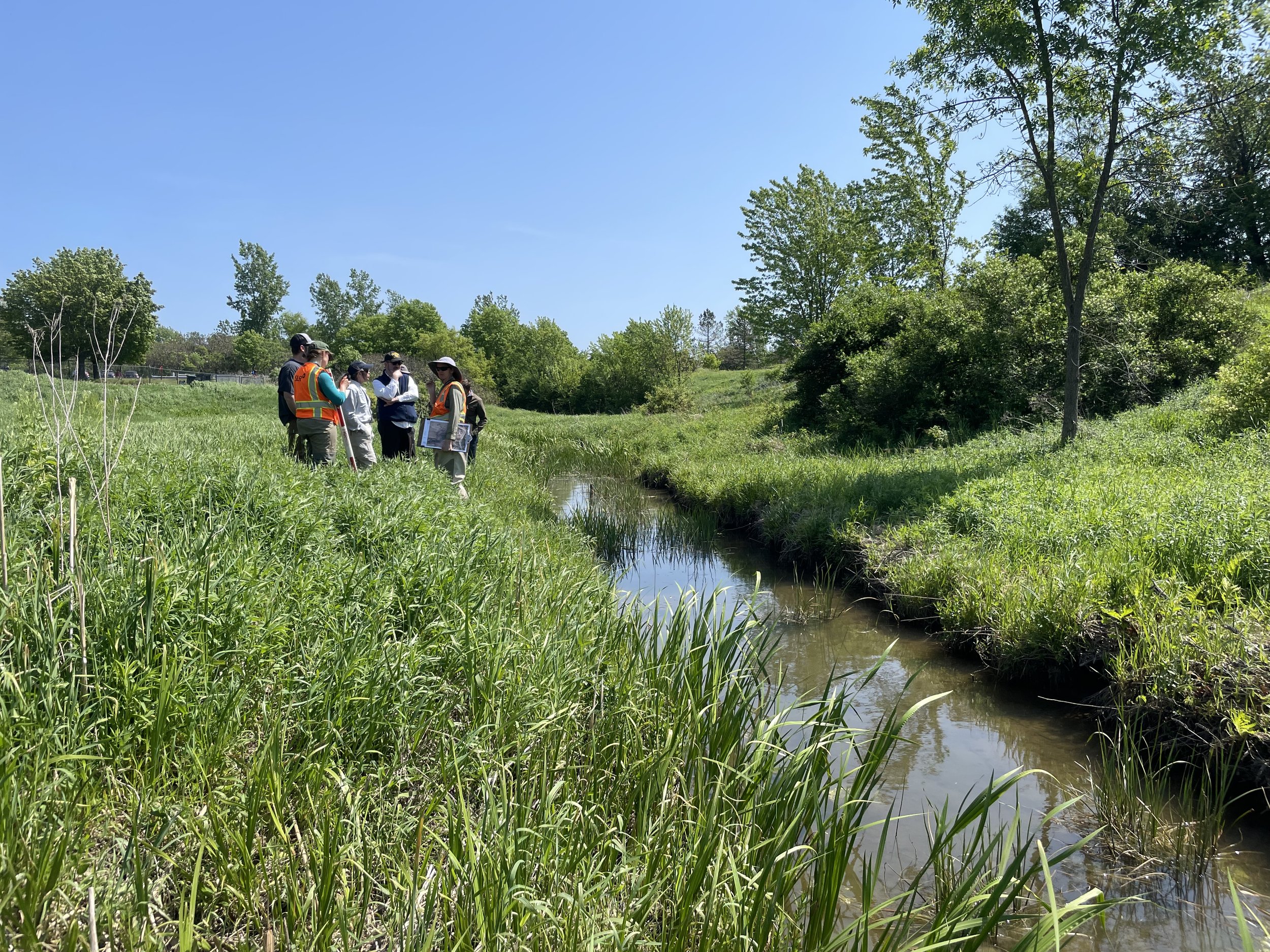 Lewis Creek Association Makes Plan to Restore McCabe’s Brook — Lewis ...