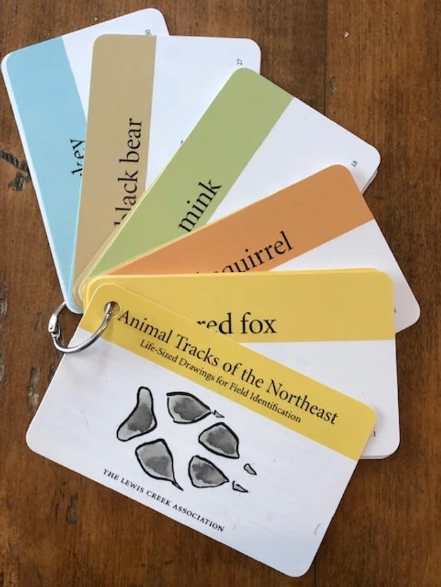 Animal Tracking Cards — Lewis Creek Association