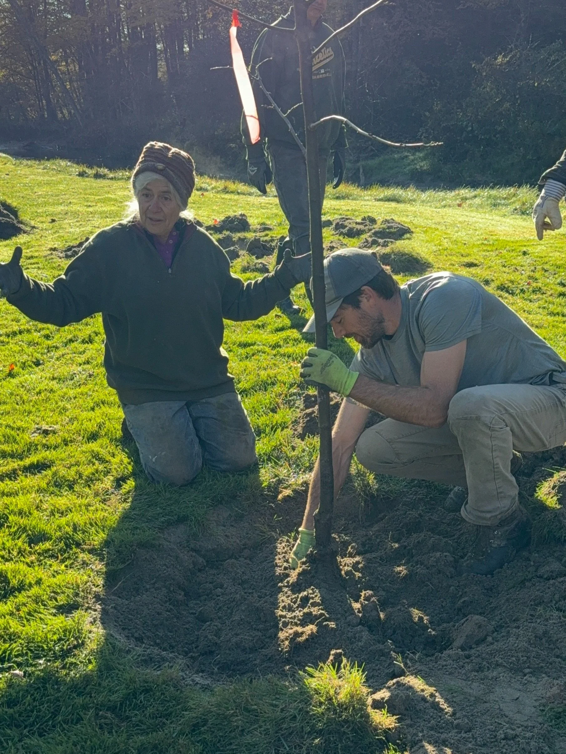 Volunteers Plant Trees and Shrubs along Lewis Creek in Hinesburg ...