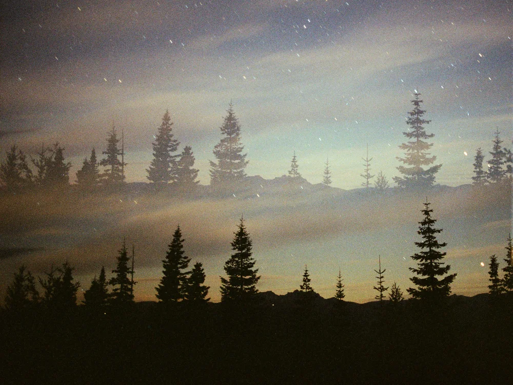 Treeline Silhouette Painting