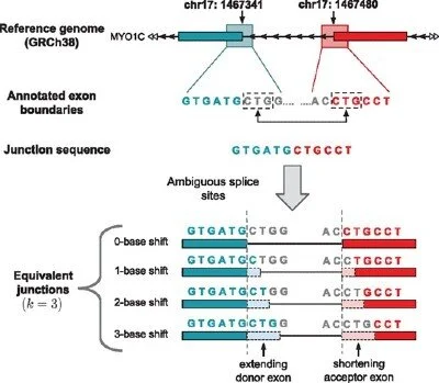 Software — Salzman Lab