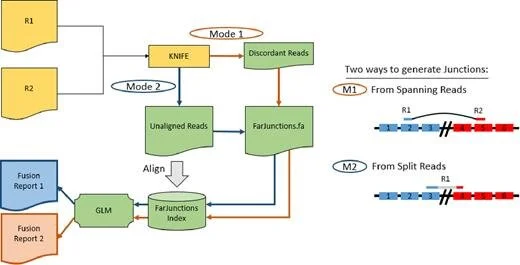 Software — Salzman Lab