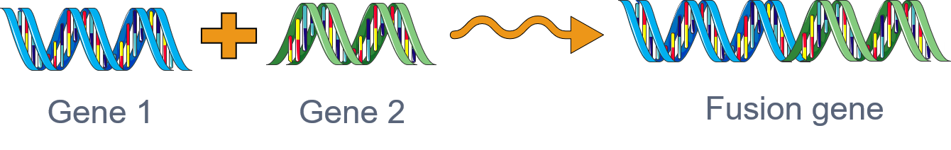 Research — Salzman Lab