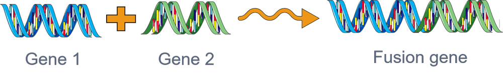 Research — Salzman Lab