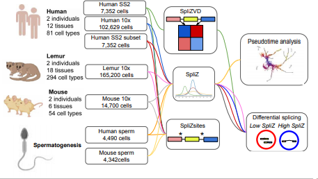 Publications — Salzman Lab