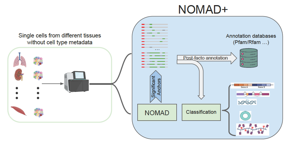 New preprint on unsupervised reference-free inference of single-cell transcriptomic complexity ...