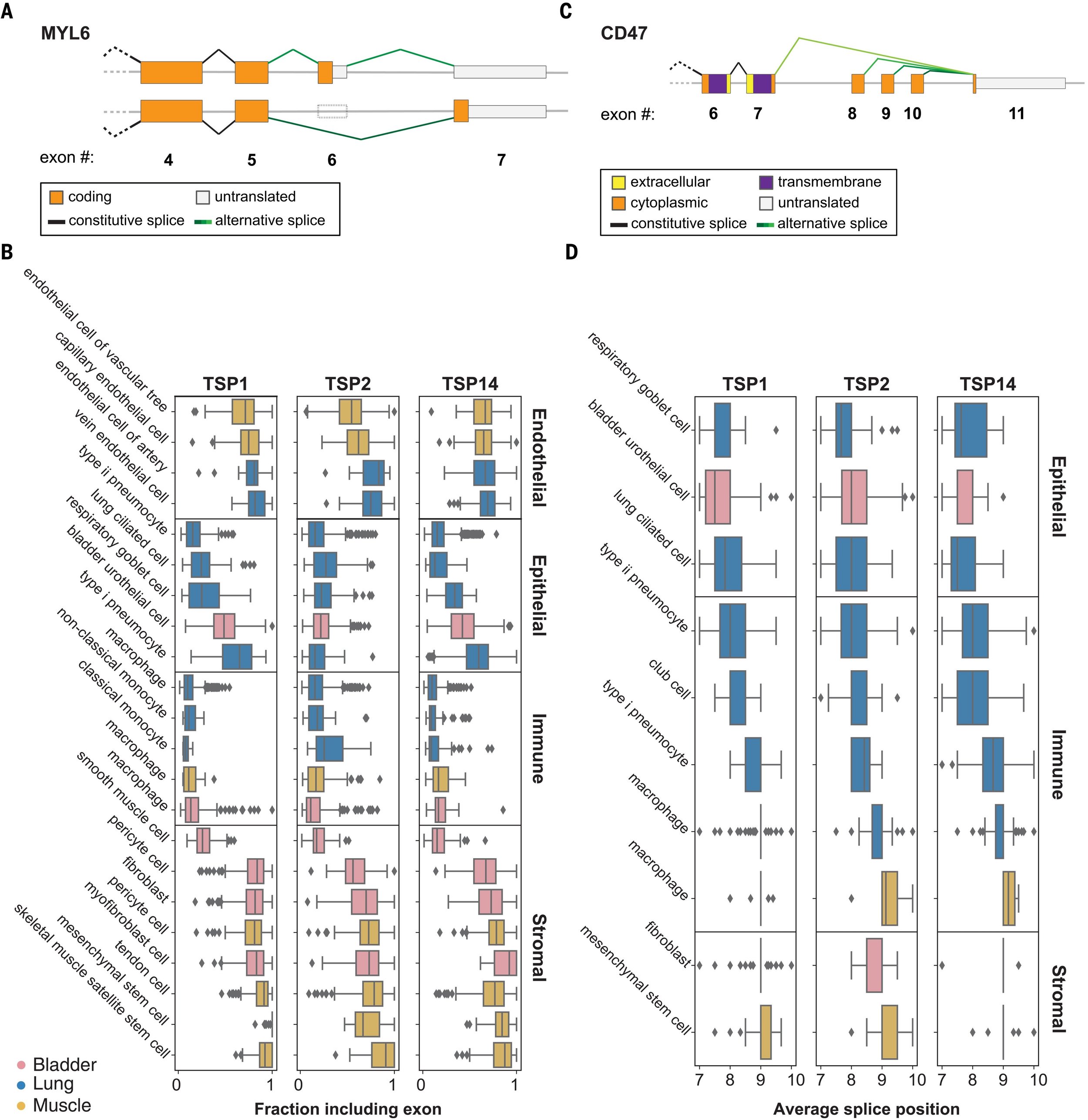 Tabula Sapiens paper out now in Science — Salzman Lab