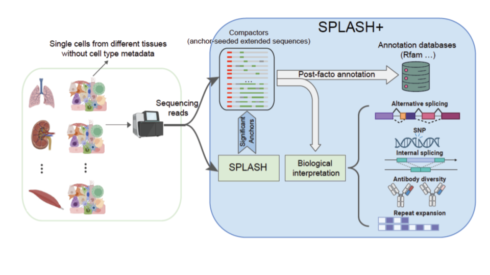Publications — Salzman Lab