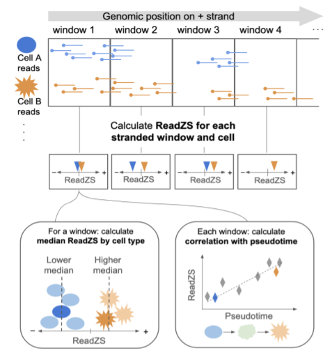 Software — Salzman Lab