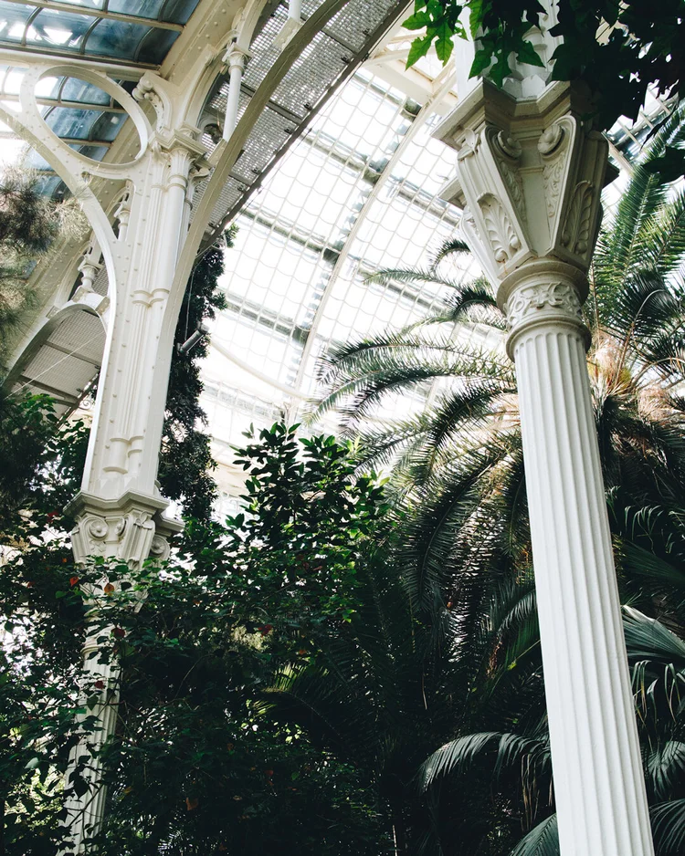 A Plant Lover's Travel Guide: Schönbrunn Palm House — Anna Farba ...