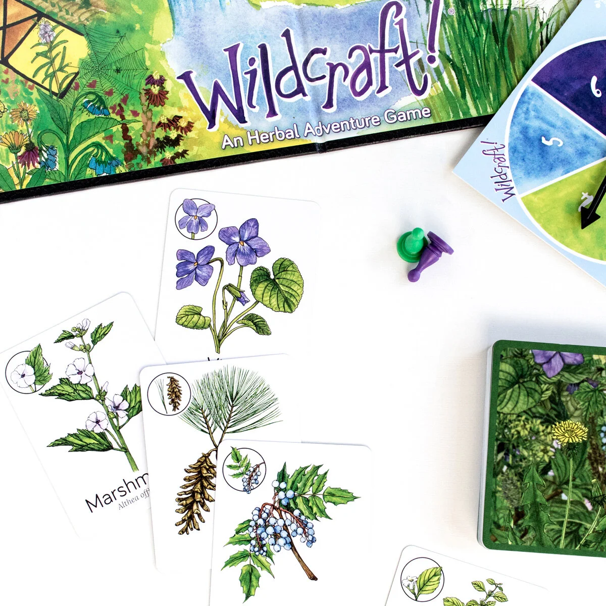 Custom botanical illustrations and original plant drawings — Anna Farba ...