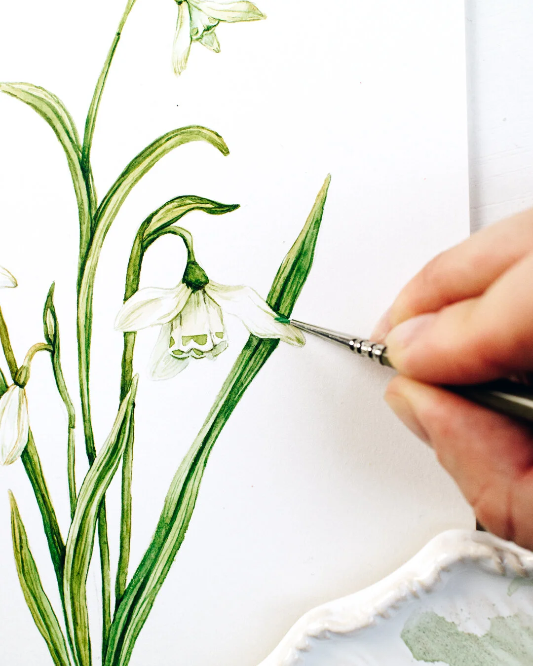 About the illustrator — Anna Farba Illustration