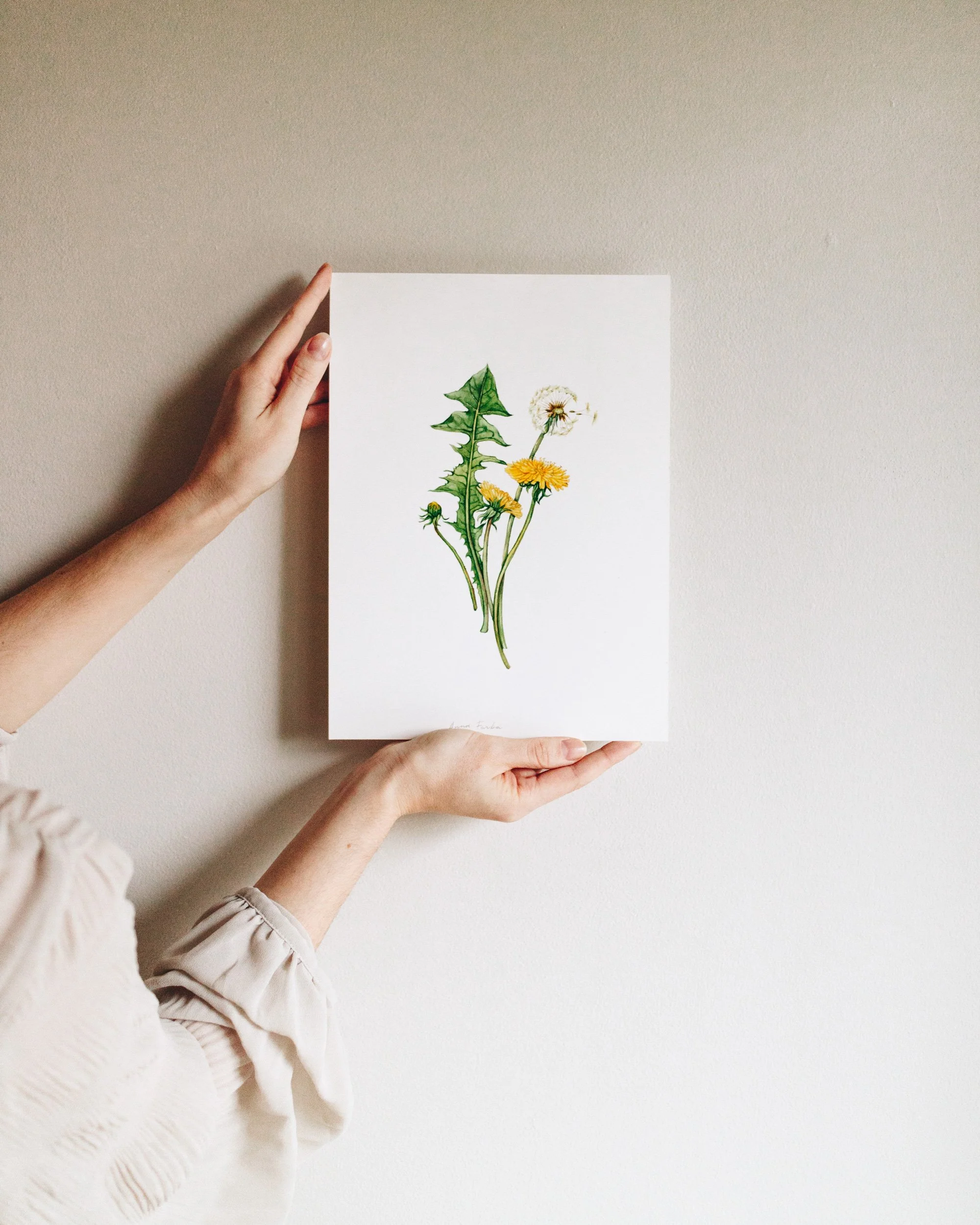 Anna Farba Illustration