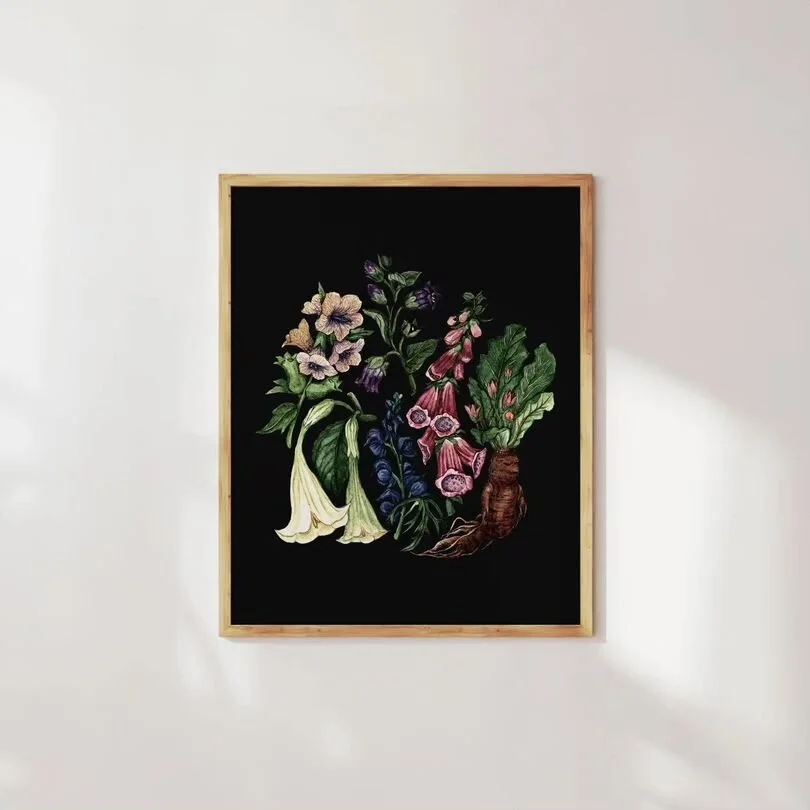 Botanical illustration - Flowers — Anna Farba Illustration