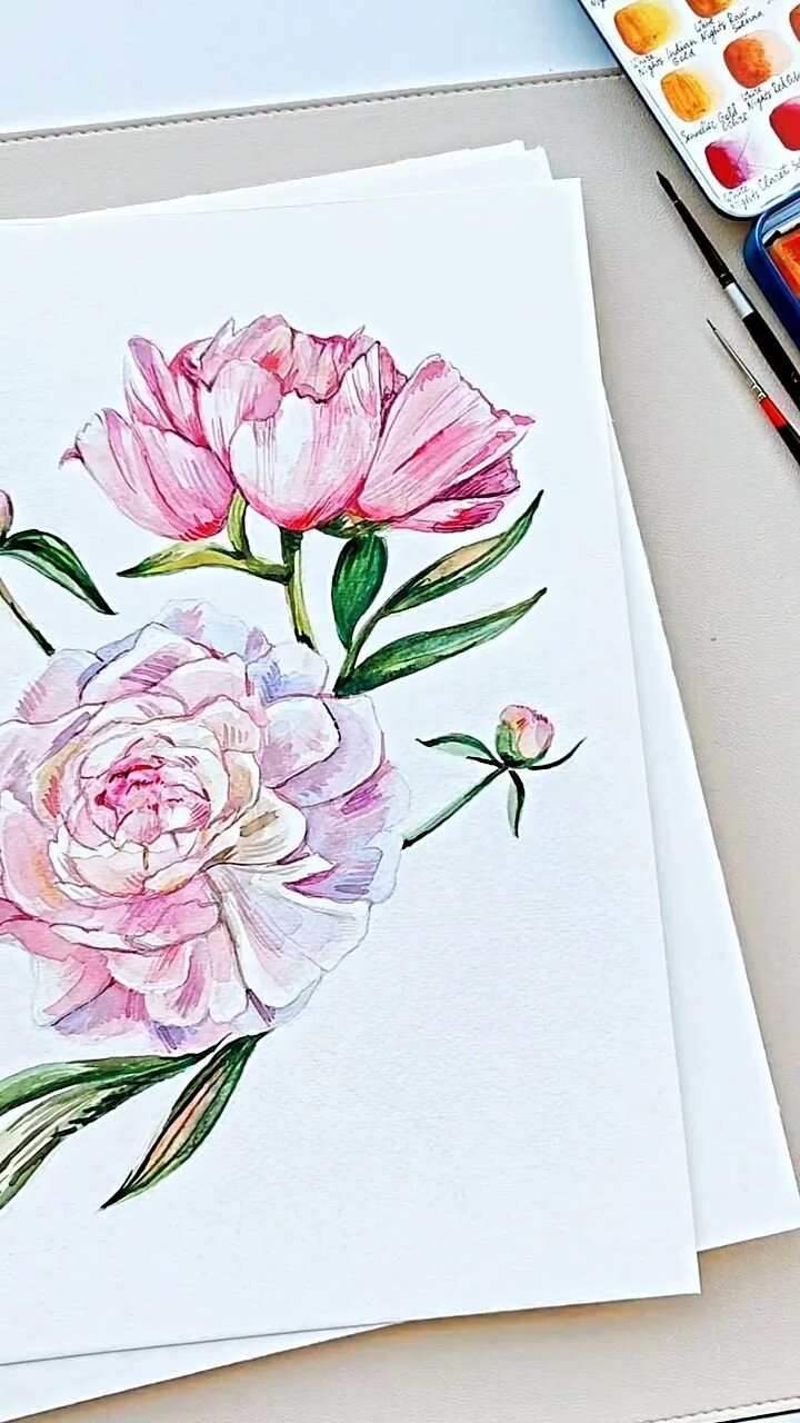 Custom botanical illustrations and original plant drawings — Anna Farba ...