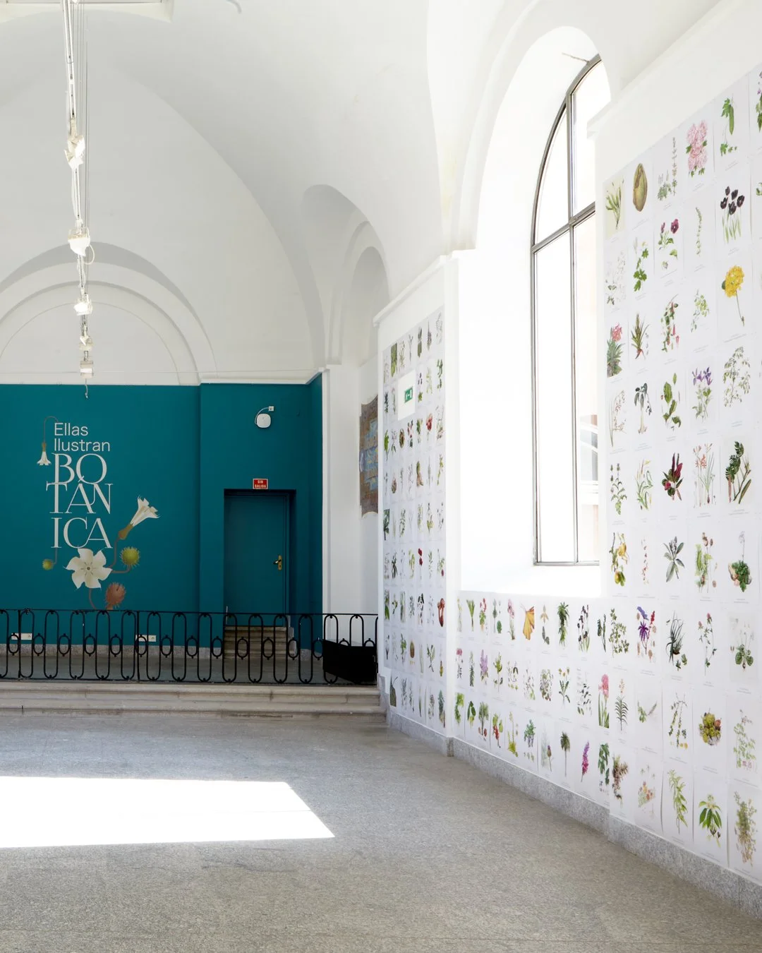 Anna Farba at Ellas Ilustran Botánica — Anna Farba, freelance ...