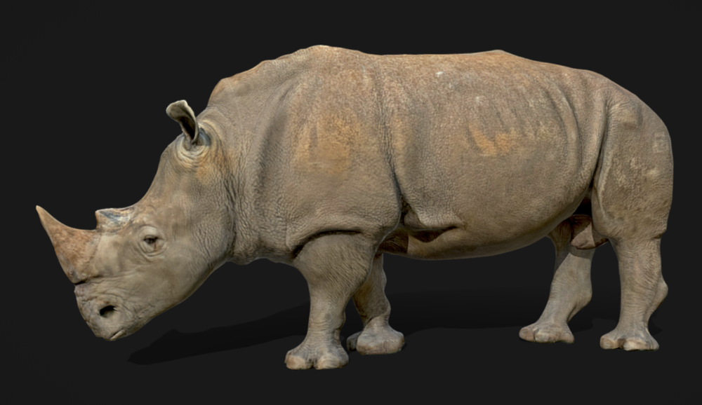 3D Models — Digital Life
