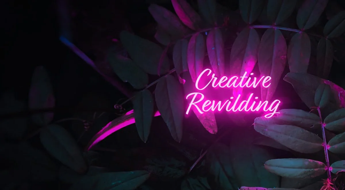Creative Rewilding — Calee Lucht
