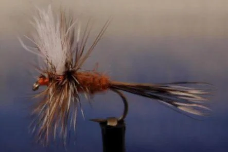 Ausable Wulff — Mid Hudson Trout Unlimited