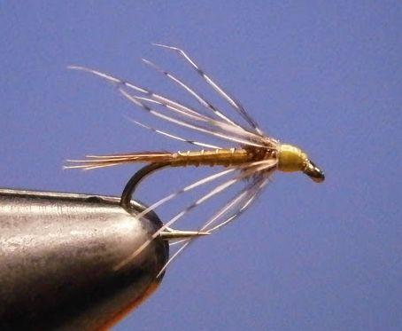 Blue Winged Soft Hackle — Mid Hudson Trout Unlimited