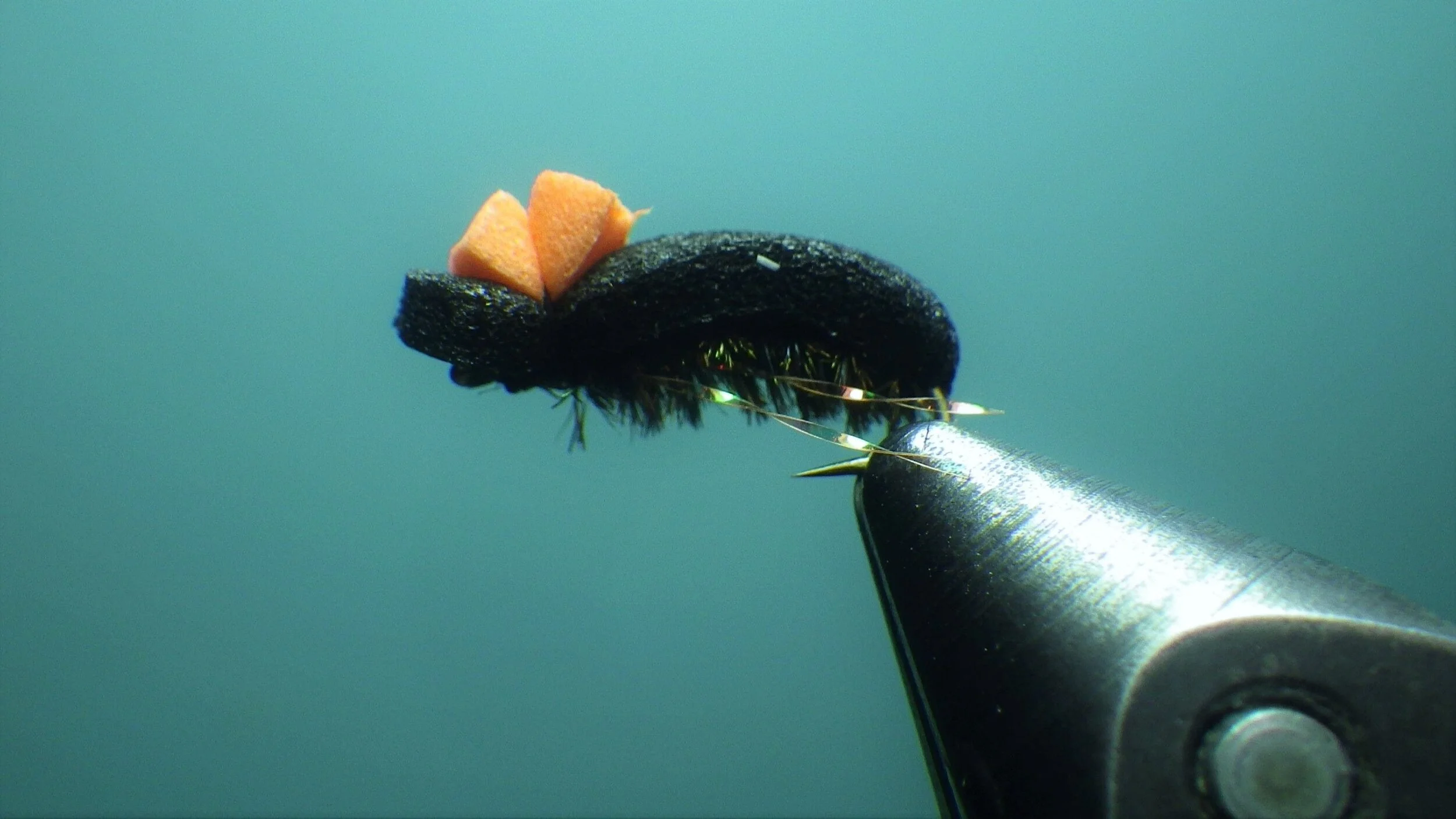 Foam Beetle — Mid Hudson Trout Unlimited