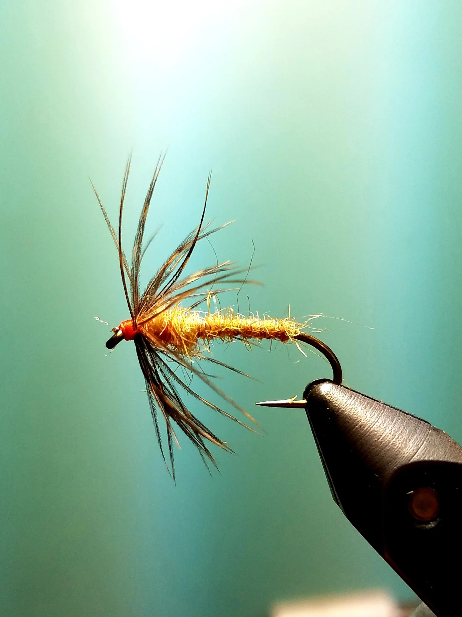 October Caddis Emerger — Mid Hudson Trout Unlimited