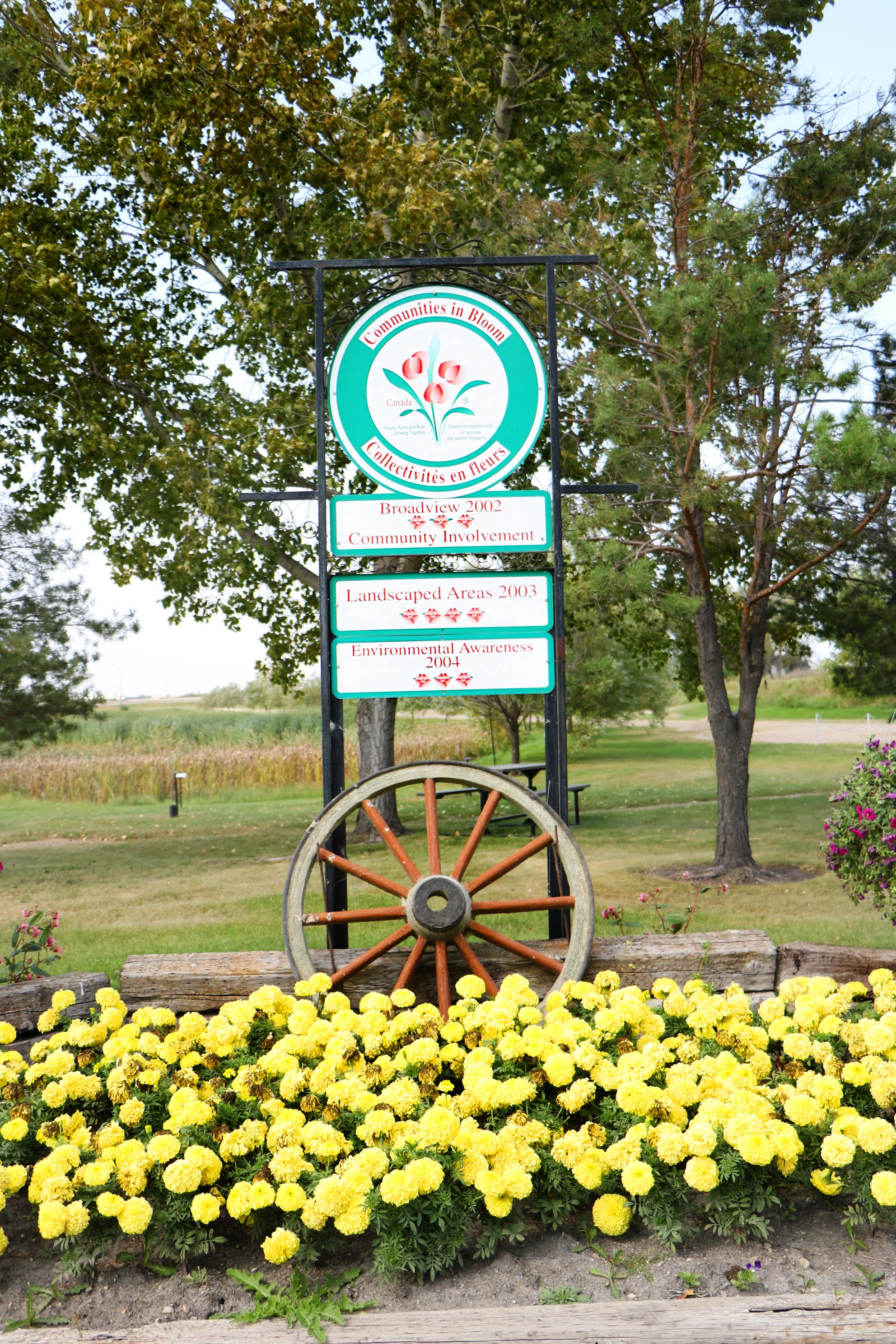 Live in Broadview Saskatchewan