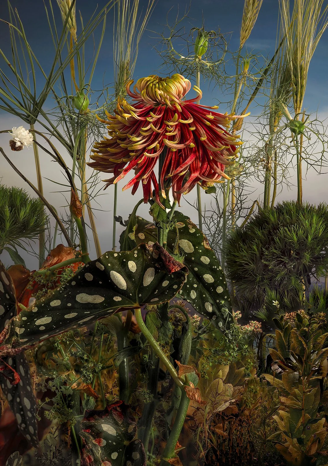 gilded lilies — TINE POPPE