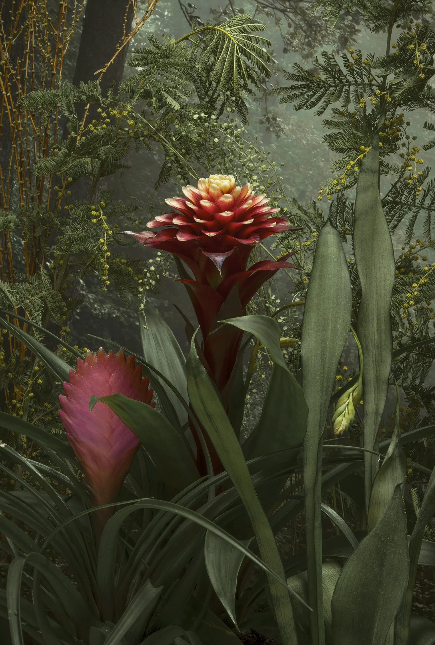 gilded lilies — TINE POPPE
