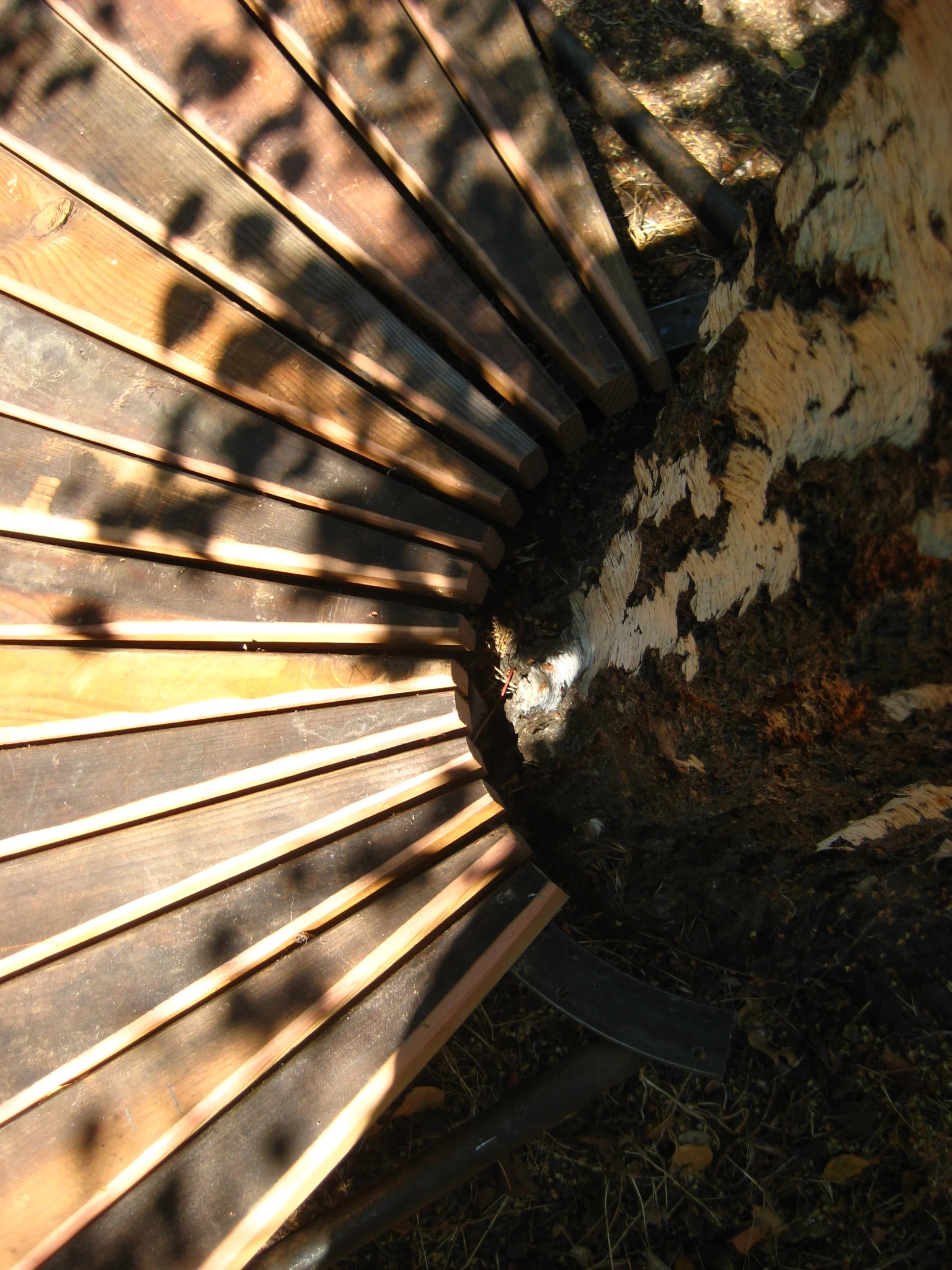 birch tree bench — mosaic metals