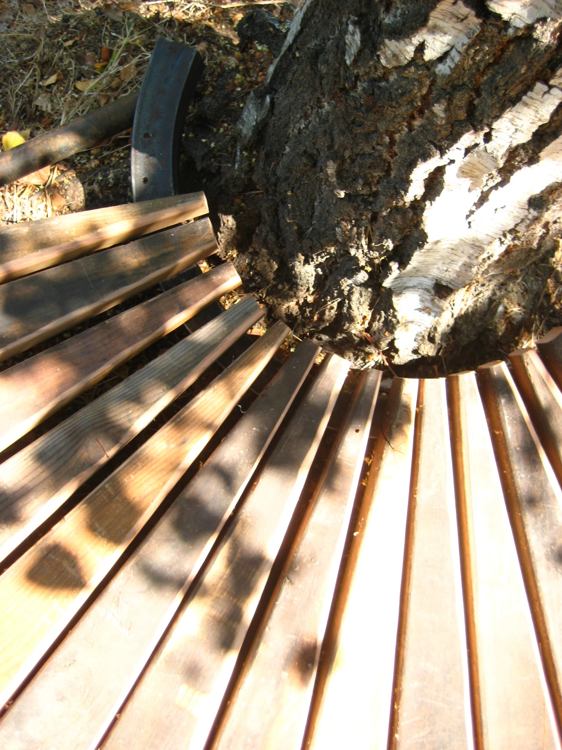 birch tree bench — mosaic metals
