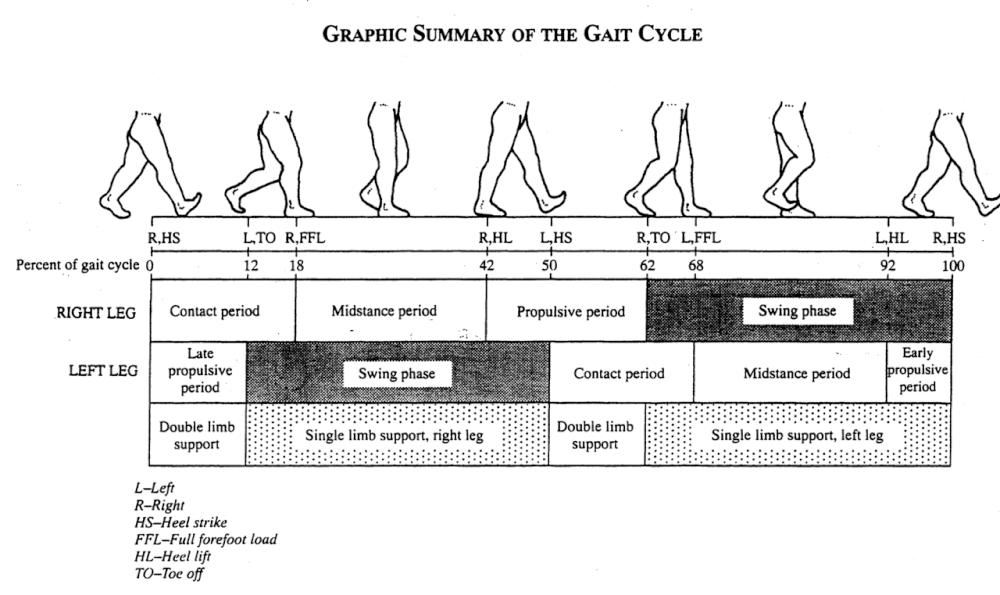 The Gait Guys