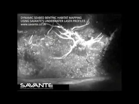 SAVANTE - Offshore Subsea Scanning - Savante Subsea and Underwater Lasers: 3D Dynamic Laser ...