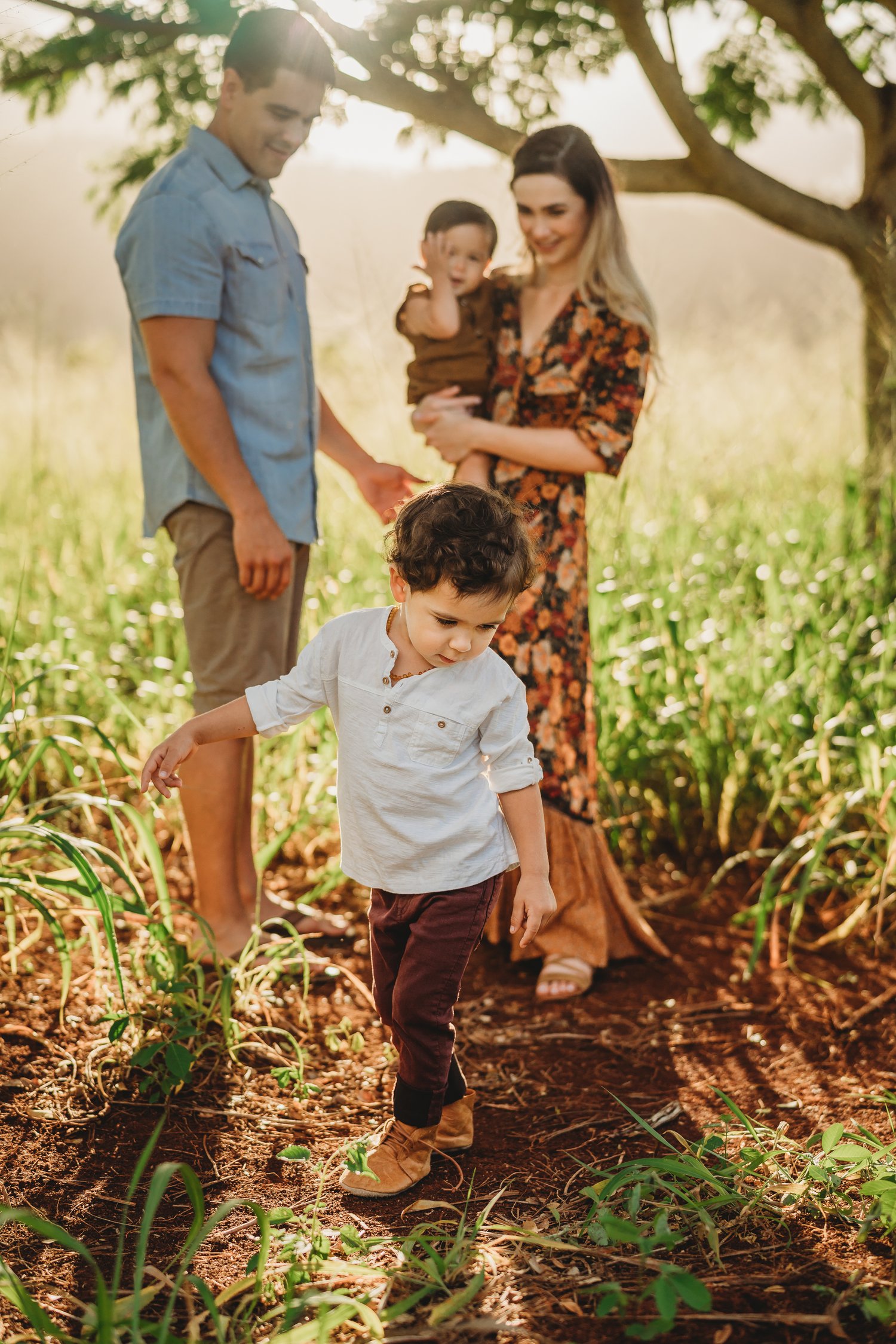 Oahu, Hawaii Family Photographer | The Little Wasa-Pea — Island Heart ...