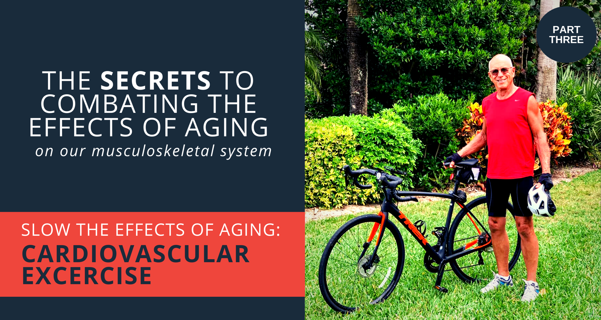 THE SECRETS TO COMBATING THE EFFECTS OF AGING ON OUR MUSCULOSKELETAL ...