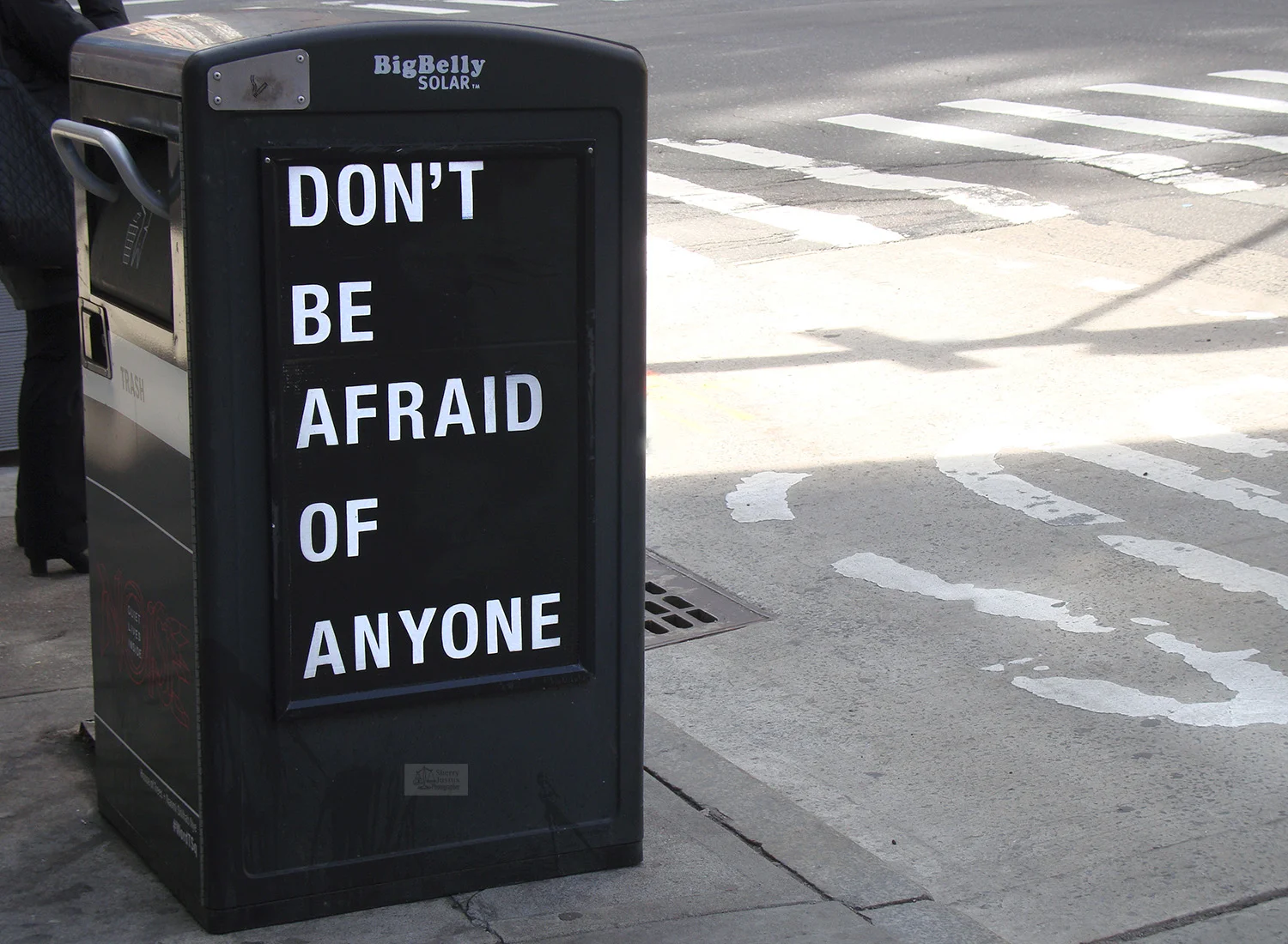 America the Beautiful--Sherry Justus Photography--Welcome/"Our" Animals ...