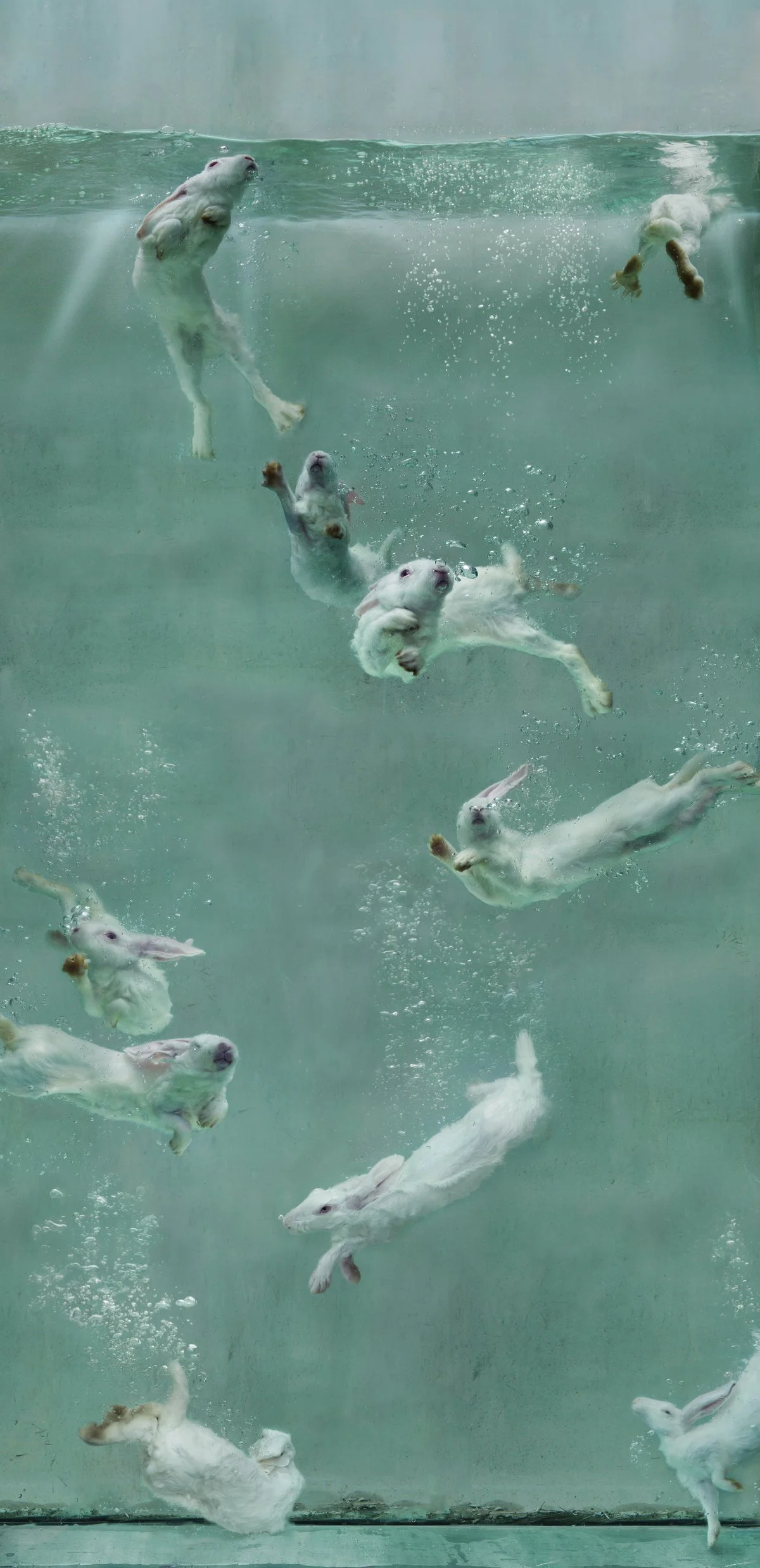 ZHOU HONGBIN — Michele Mariaud