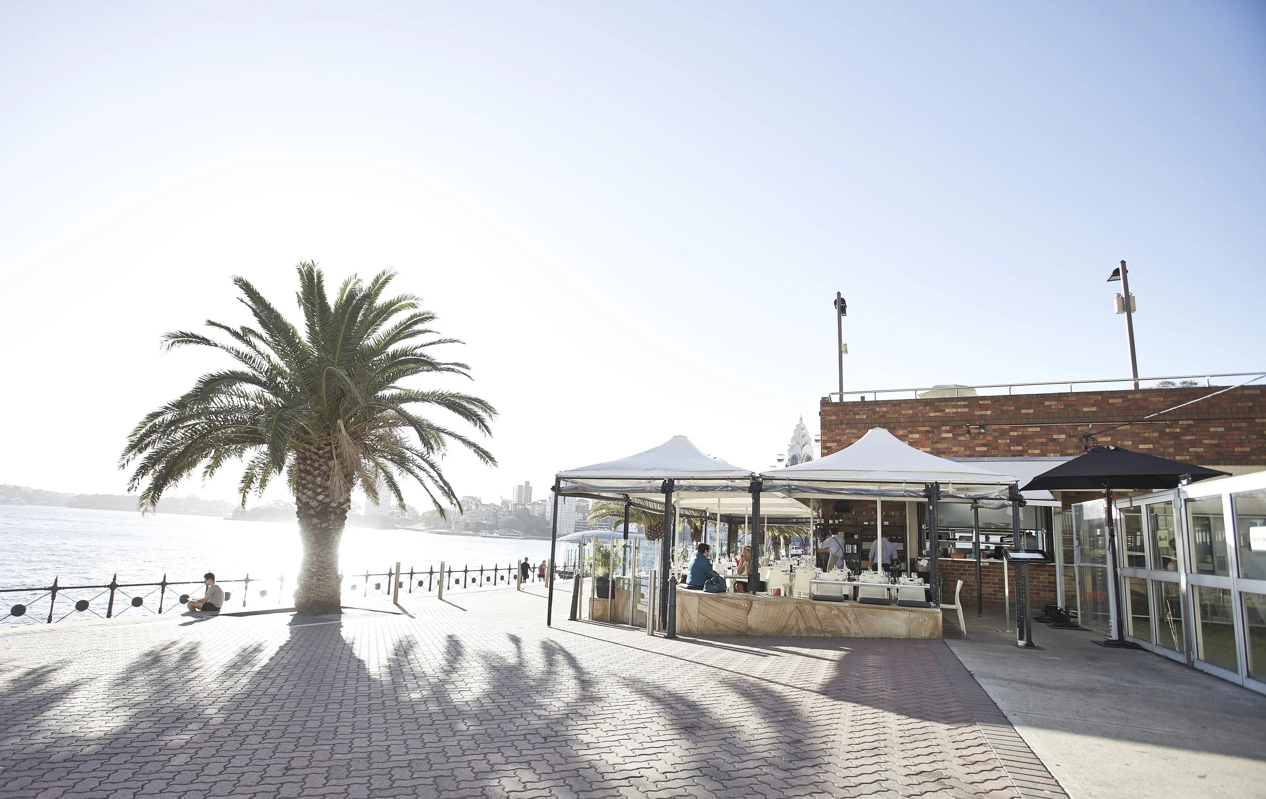 Ripples Milsons Point