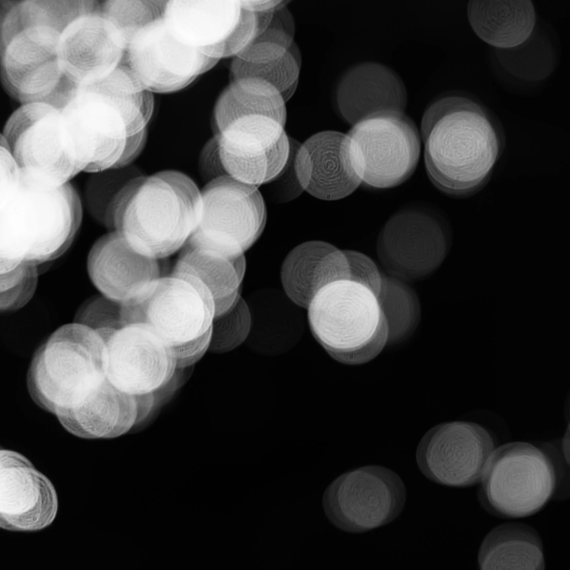 Abstract Photography by Australian artist, Paul Foley paul foley | photographs