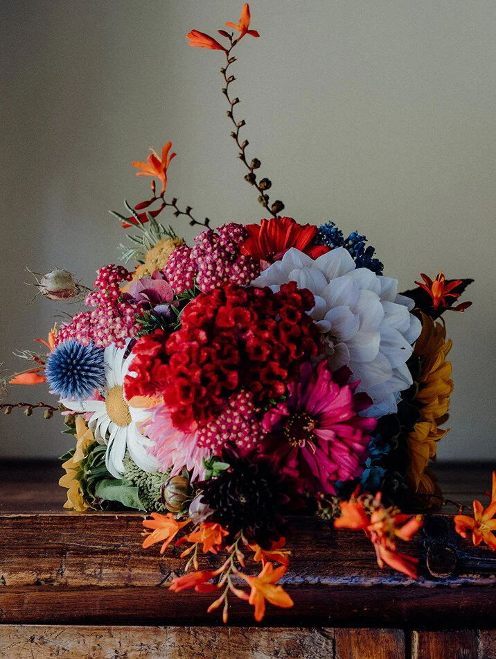 Wildflowers Coromandel
