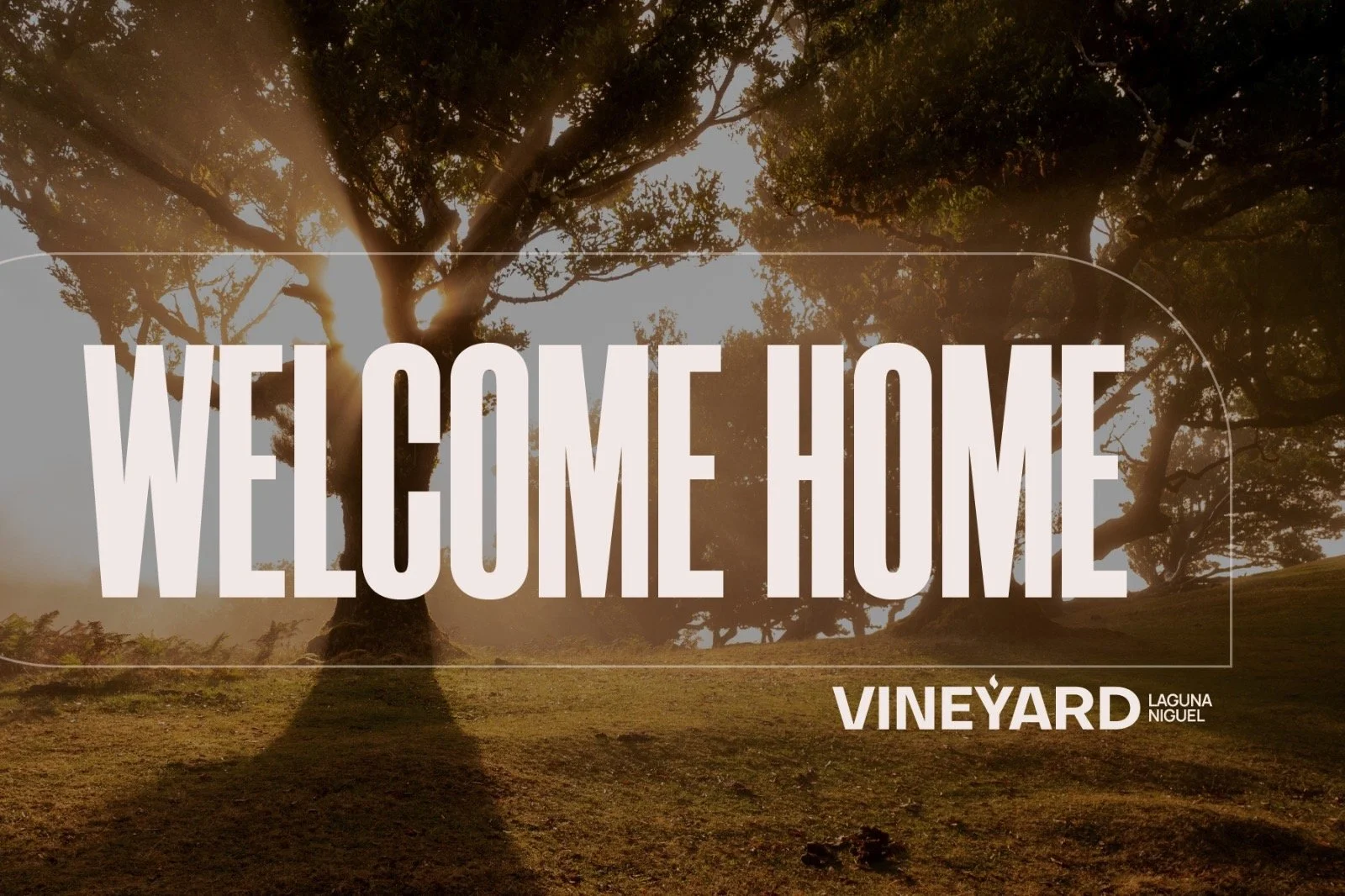 About — Vineyard Church