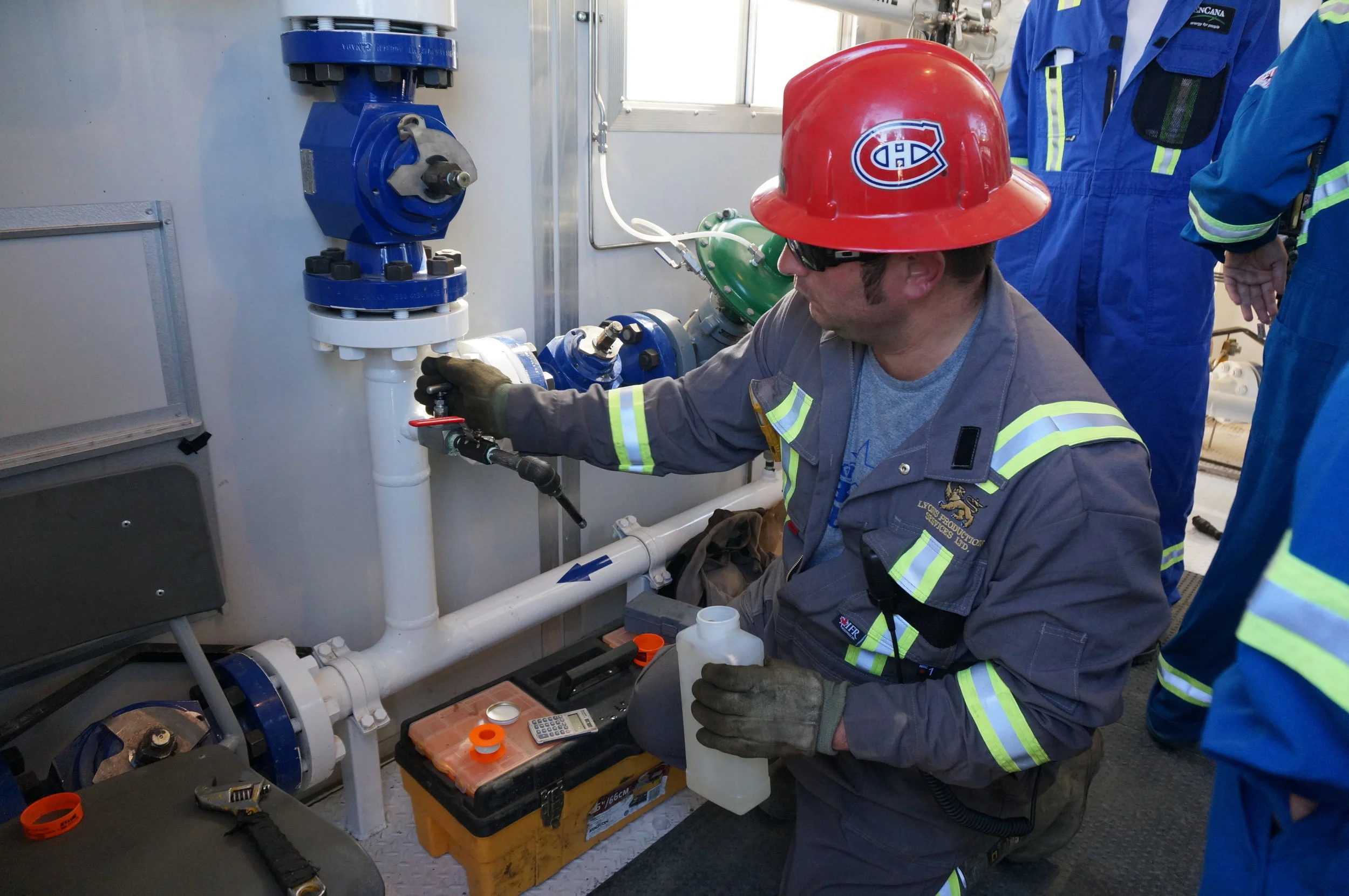 Research — Daniel S Alessi