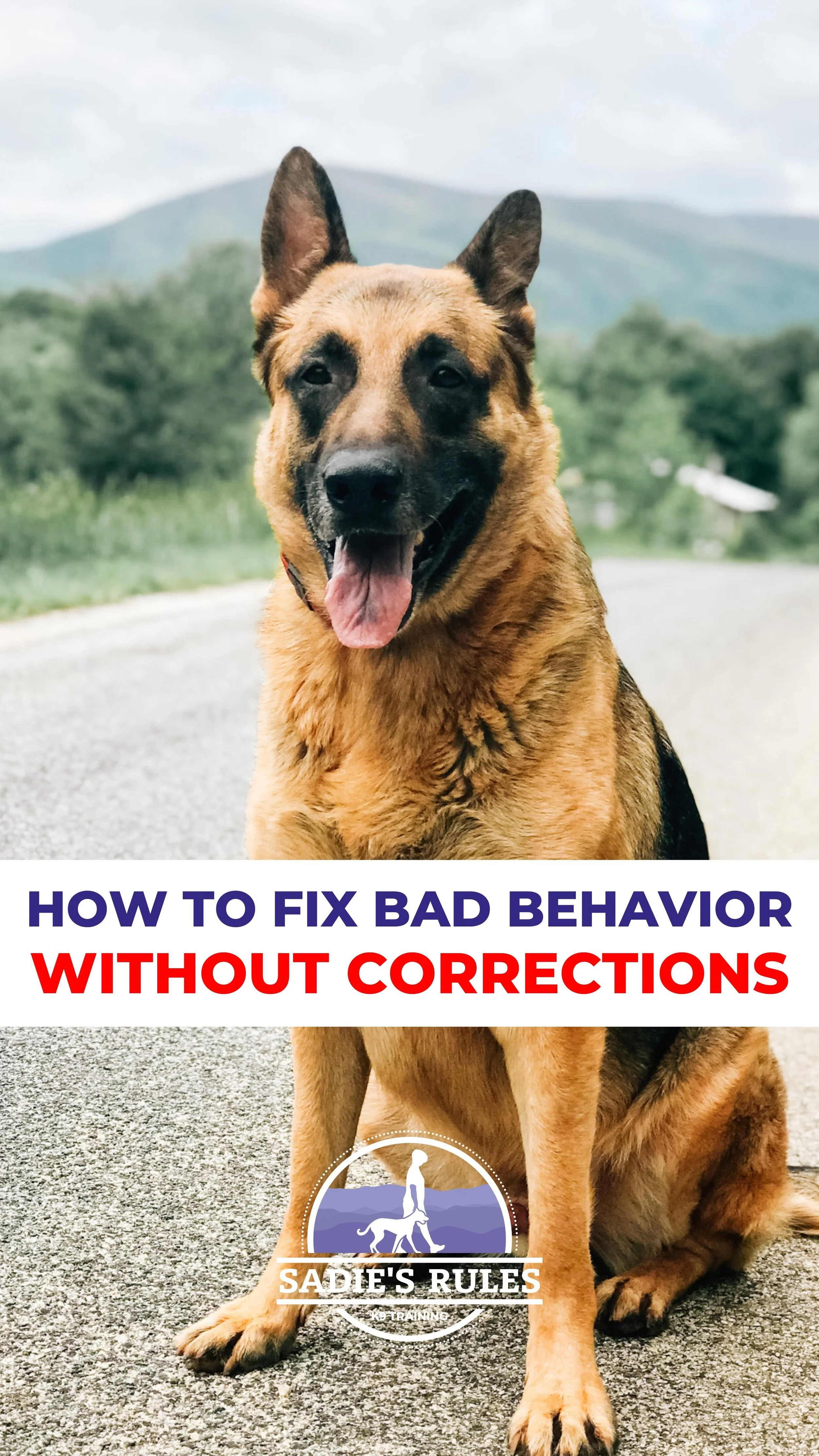 Charlottesville, VA Dog Training | Sadie's Rules | Dog Behavior ...