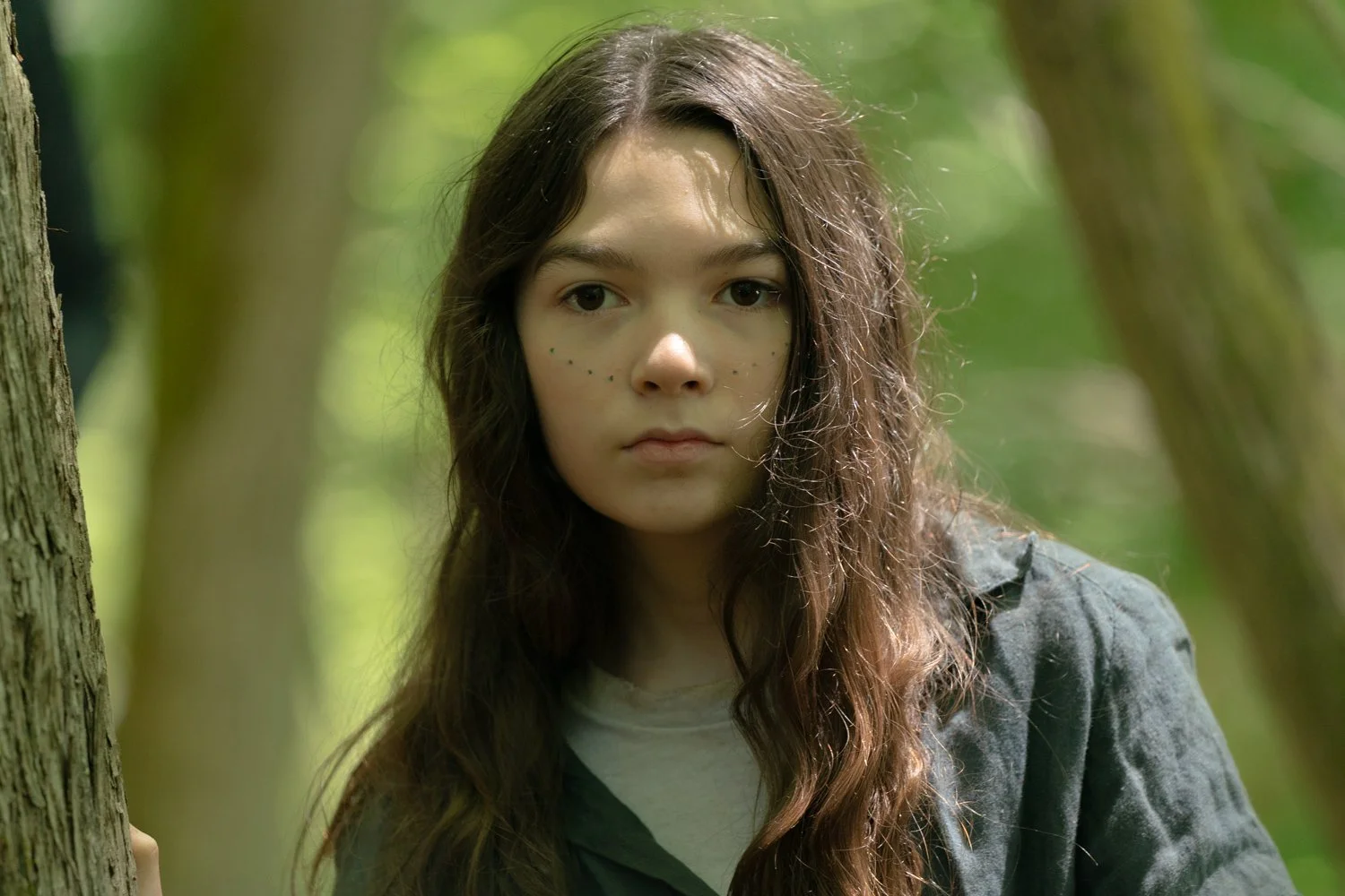 Philippe Bossé - STILLS PHOTOGRAPHER