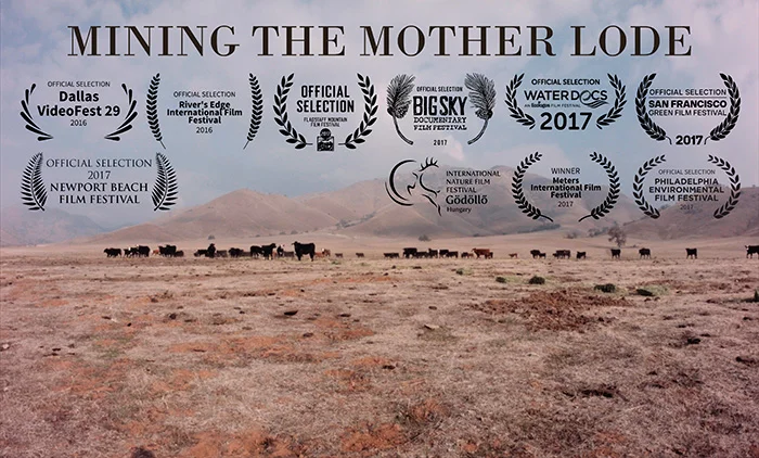 Mining the Mother Lode (2016) — Water Docs