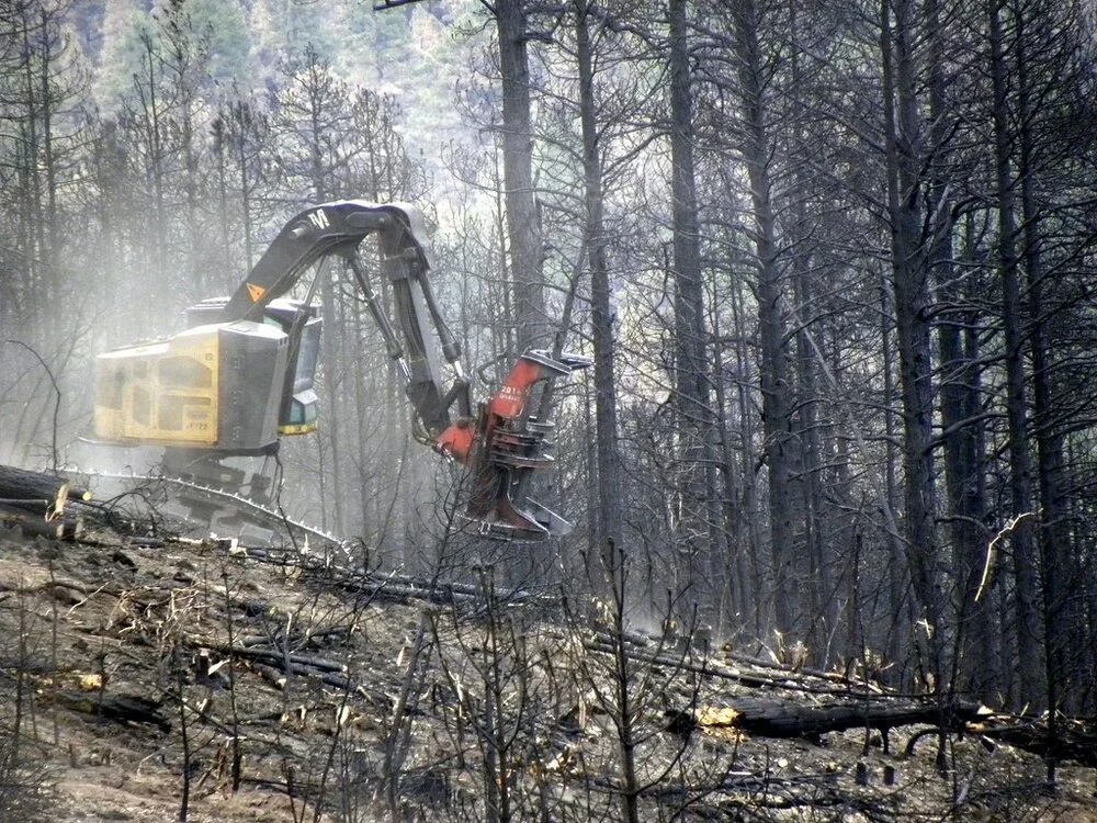 Canada's Forest Fires Part 1: Fire and Logging — Water Docs