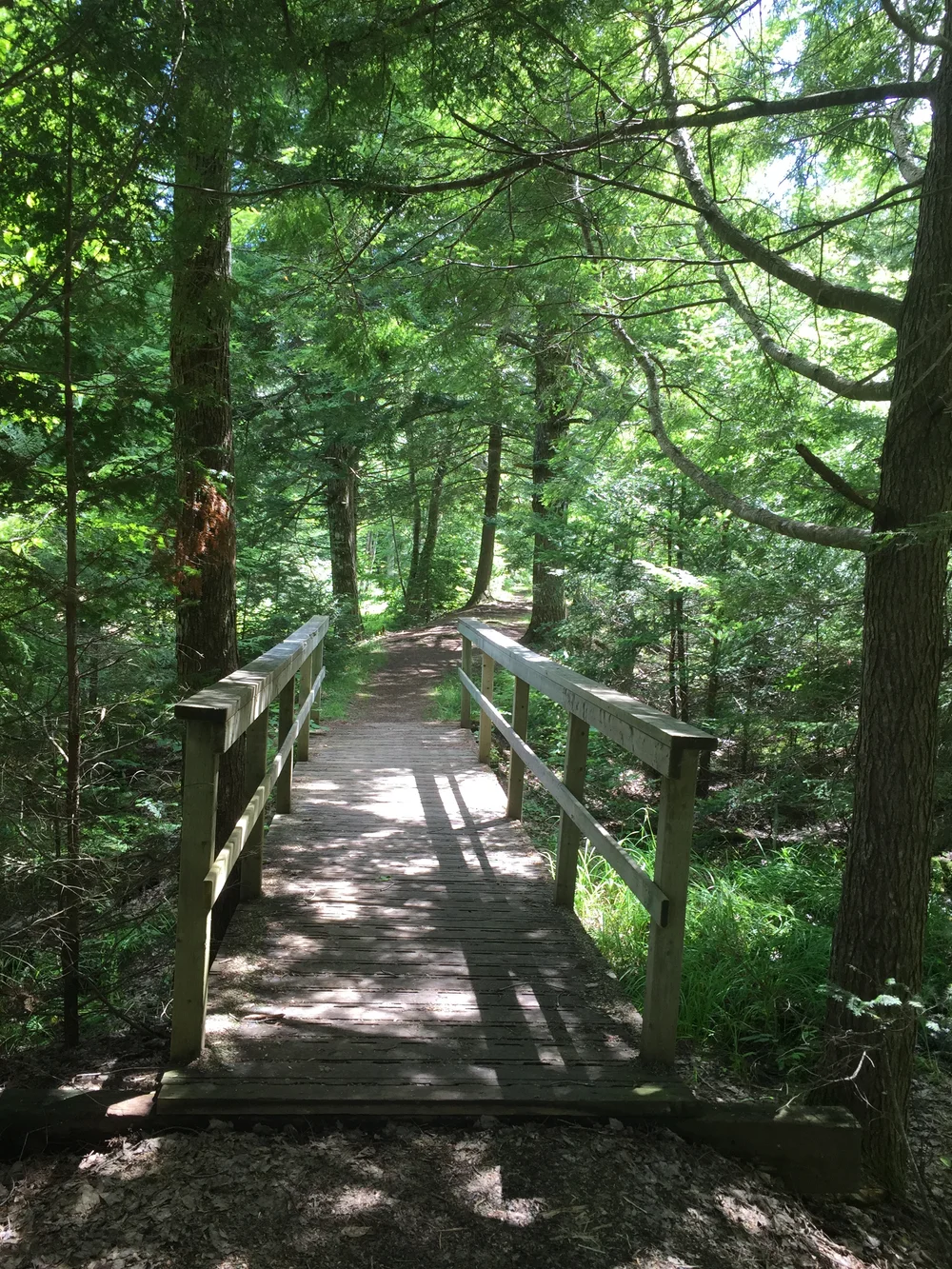 Lock 6 Park — Yours To Explore