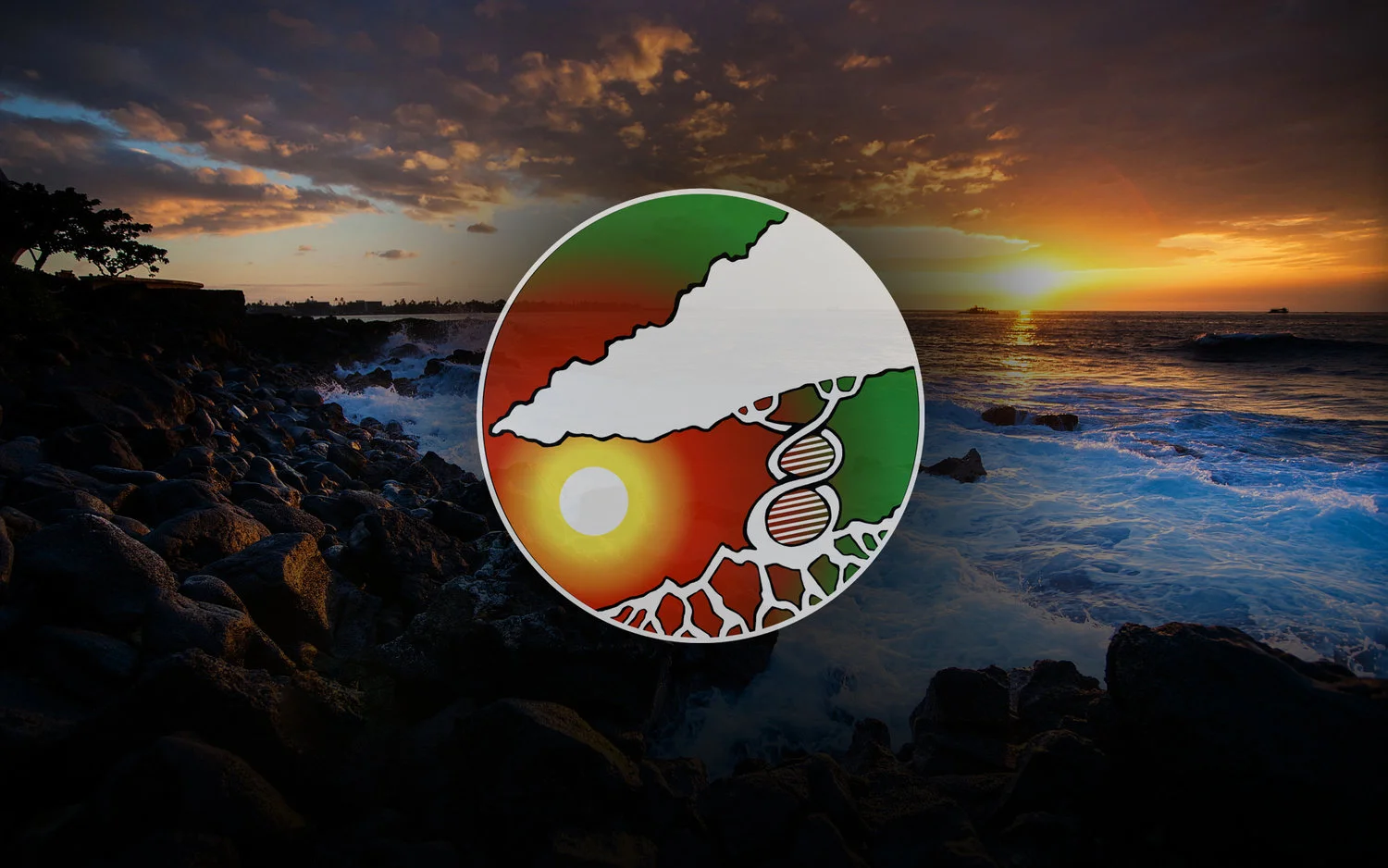 News — Fly Hi X JAH