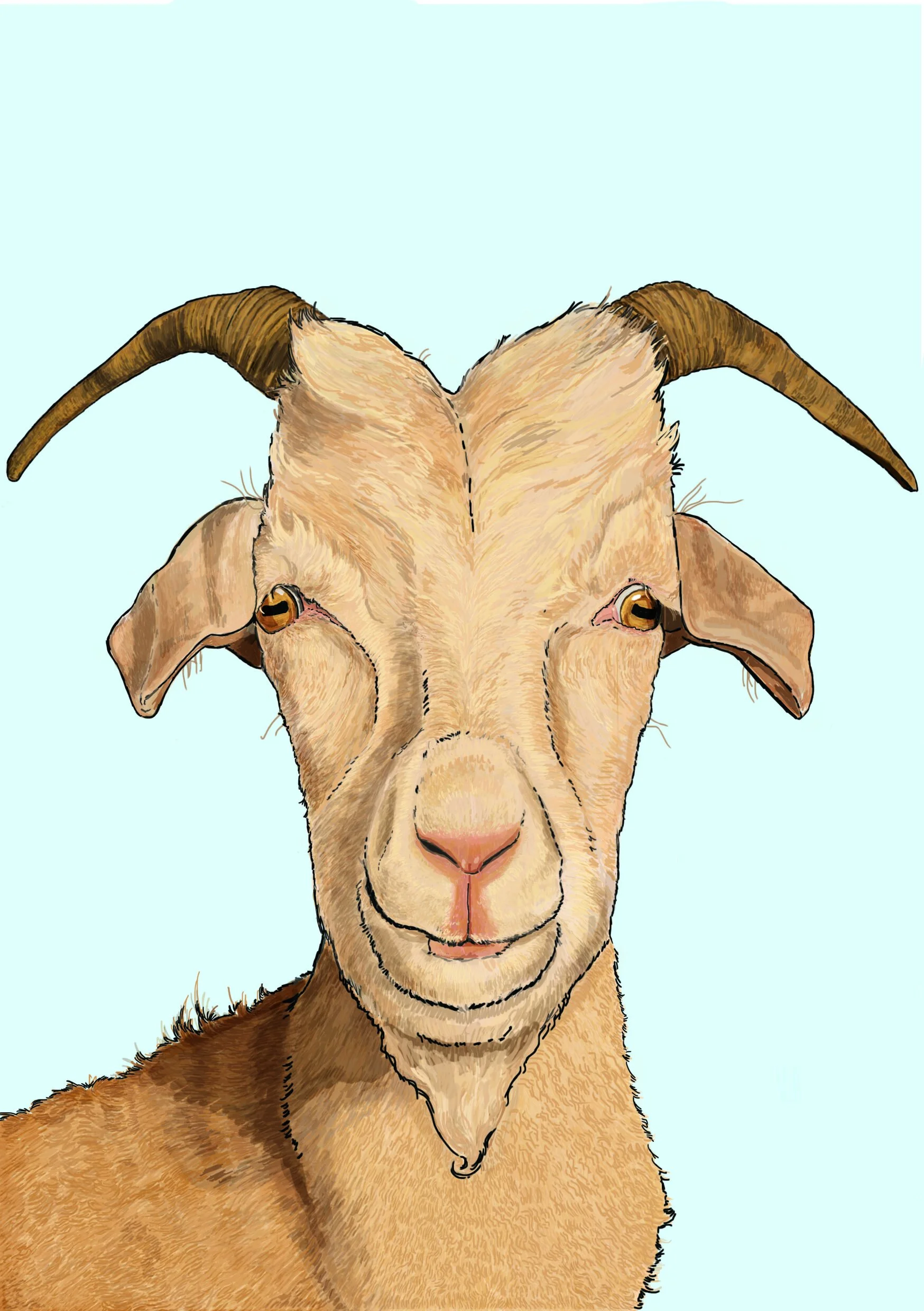 Jamie Mackay Illustration